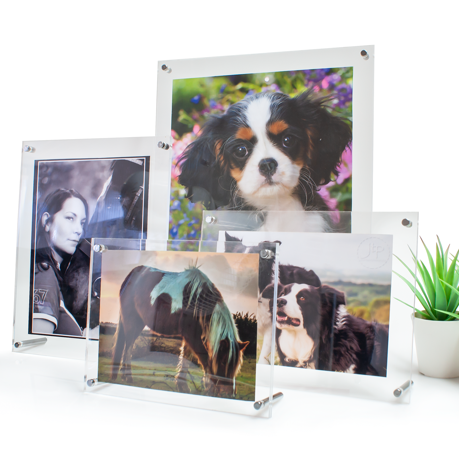 Photo Frame - Counter Standing Acrylic Frames in 6 Sizes (DSCF+)