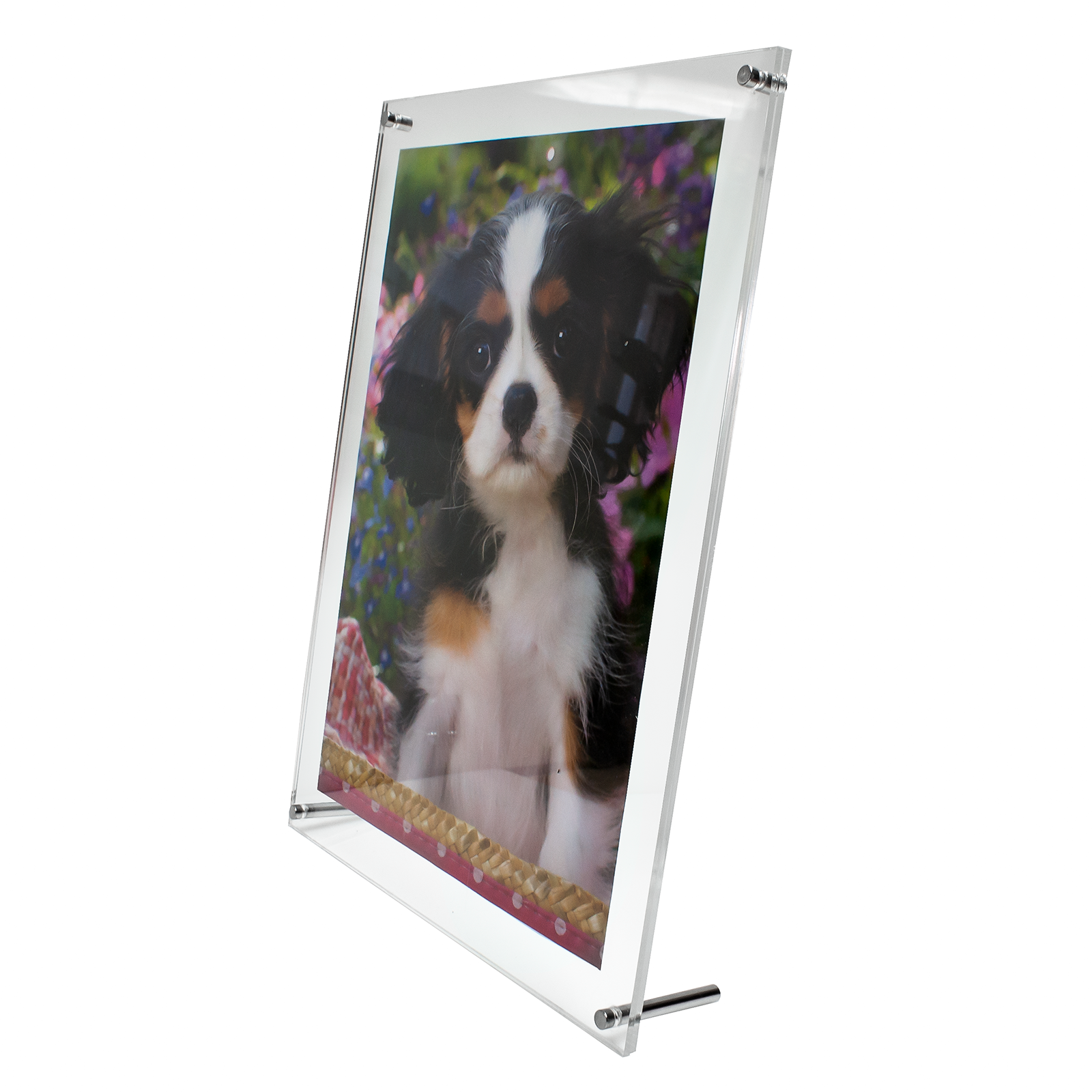 Photo Frame - Counter Standing Acrylic Frames in 6 Sizes (DSCF+)