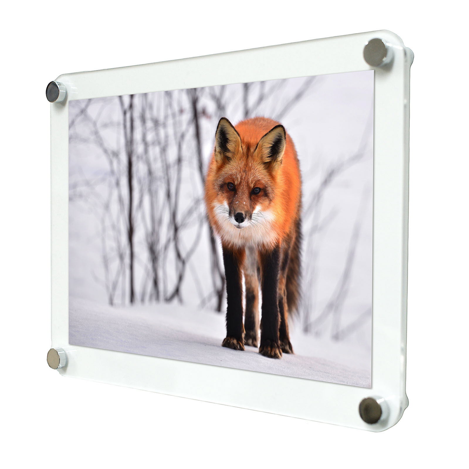 White Photo Frame - Wall Mounted A5 Acrylic Poster Frame (DSFA5W)