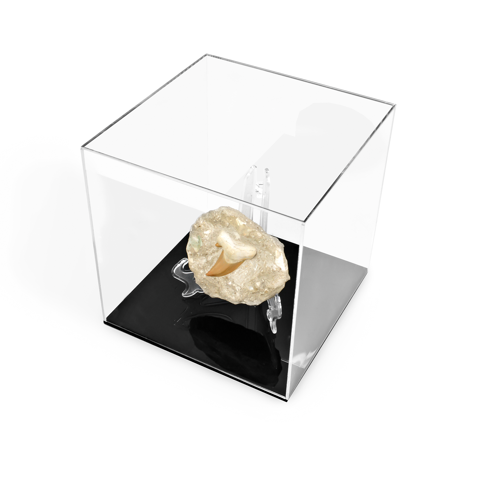 Acrylic Cube Display Case with Plinth - Trophy, Collectables 200mm (DS52)