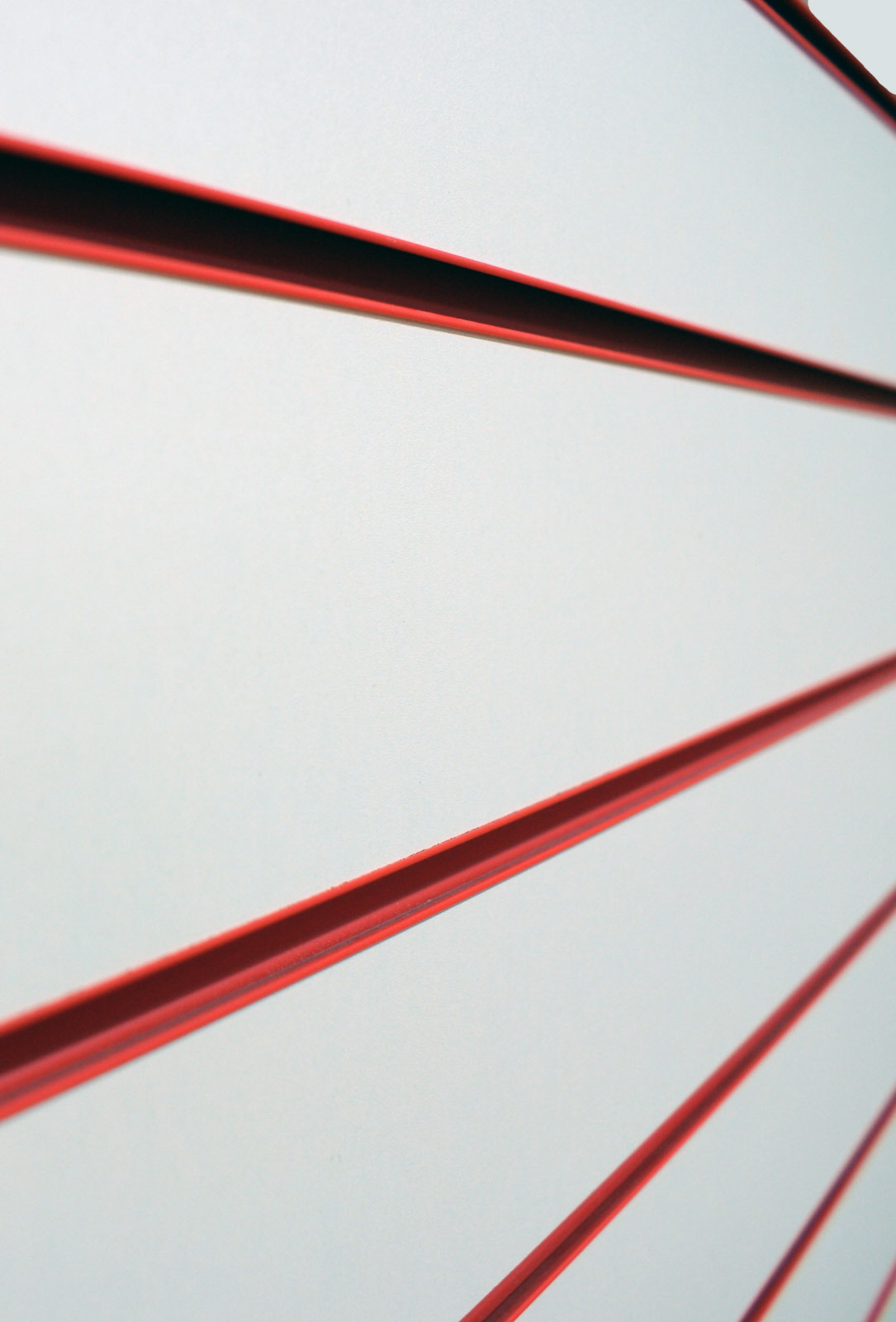 Red PVC Inserts for Slatwall Panels (D10RED)